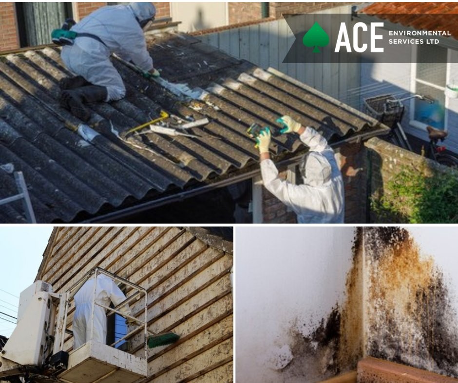 ACE Environmental - #1 Certified Asbestos, Mold & Lead Testing ...