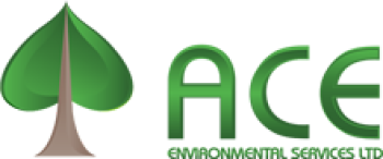 ACE Environmental - #1 Certified Asbestos, Mold & Lead Testing ...